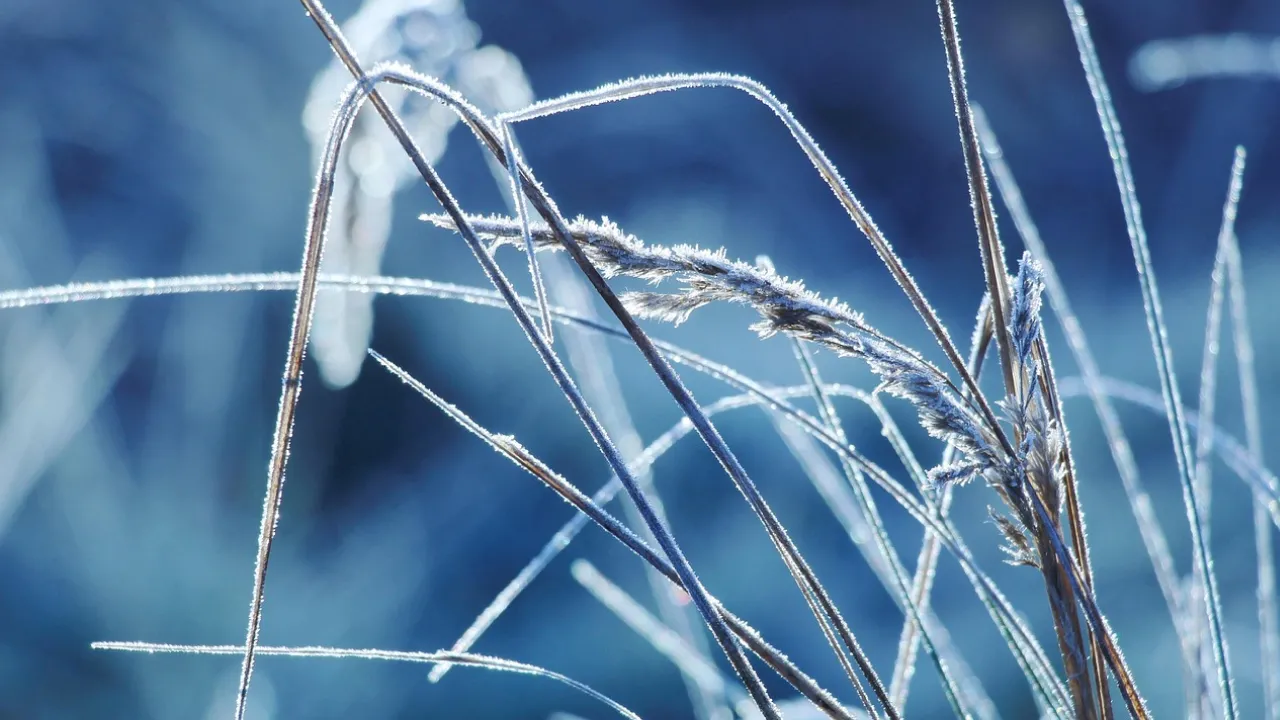 Що викинути з дому 26 листопада, щоб позбутися безгрошів’я